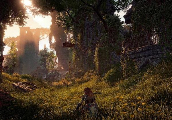Хорайзон на ПК - Horizon Zero Dawn на PC выйдет в августе, все ...