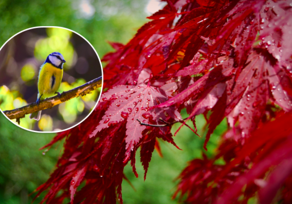 Налетить ураган і Україна попливе: синоптики розповіли про потужну ...