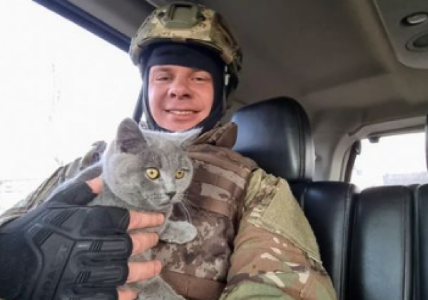 "Учились плохо. Были отчислены": Дмитрий Комаров высмеял ...