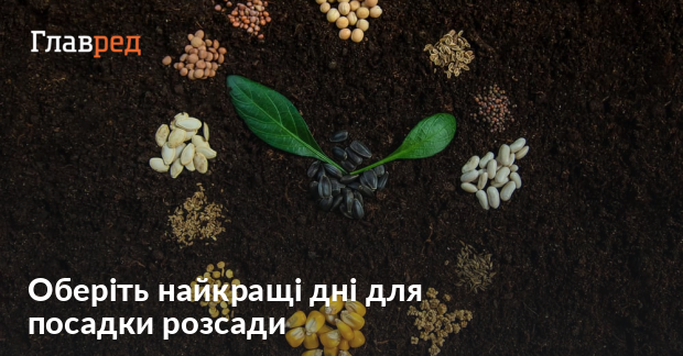 Місячний посівний календар на грудень сприятливі дні для посадки Главред