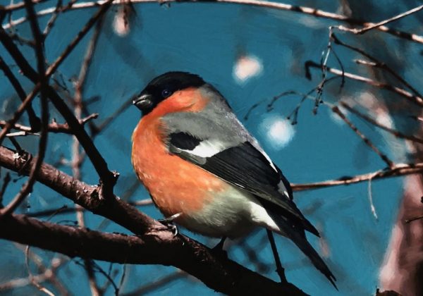 Приметы на 17 марта - что нельзя делать и запреты дня