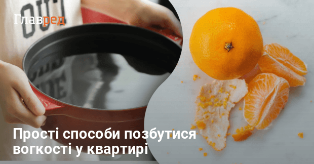 Як позбутися від затхлого запаху в квартирі три способи від вогкості Главред