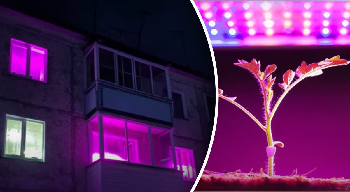 Почему в домах горит фиолетовый свет: ответ вас удивит
