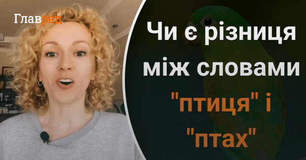 Птиця і птах чи є різниця між словами - не усі знають правильну відповідь