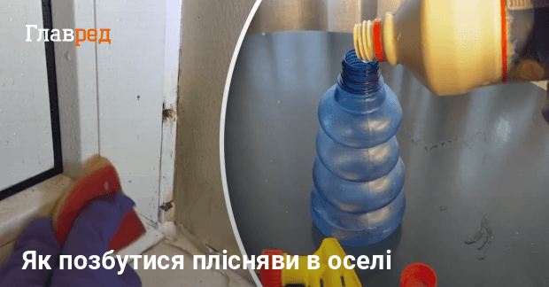 Як позбутися запаху плісняви в кімнаті ефективний засіб від грибка на стінах Главред