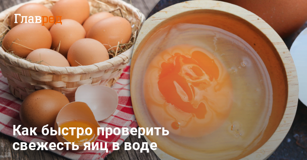Как проверить свежесть яиц - почему яйца всплывают в воде - Главред