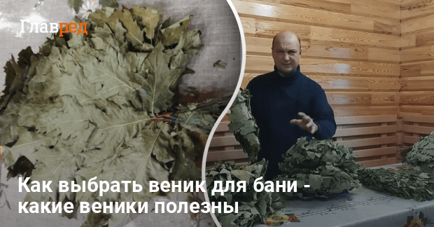 Как выбрать веник для бани - как правильно запаривать веники - Главред